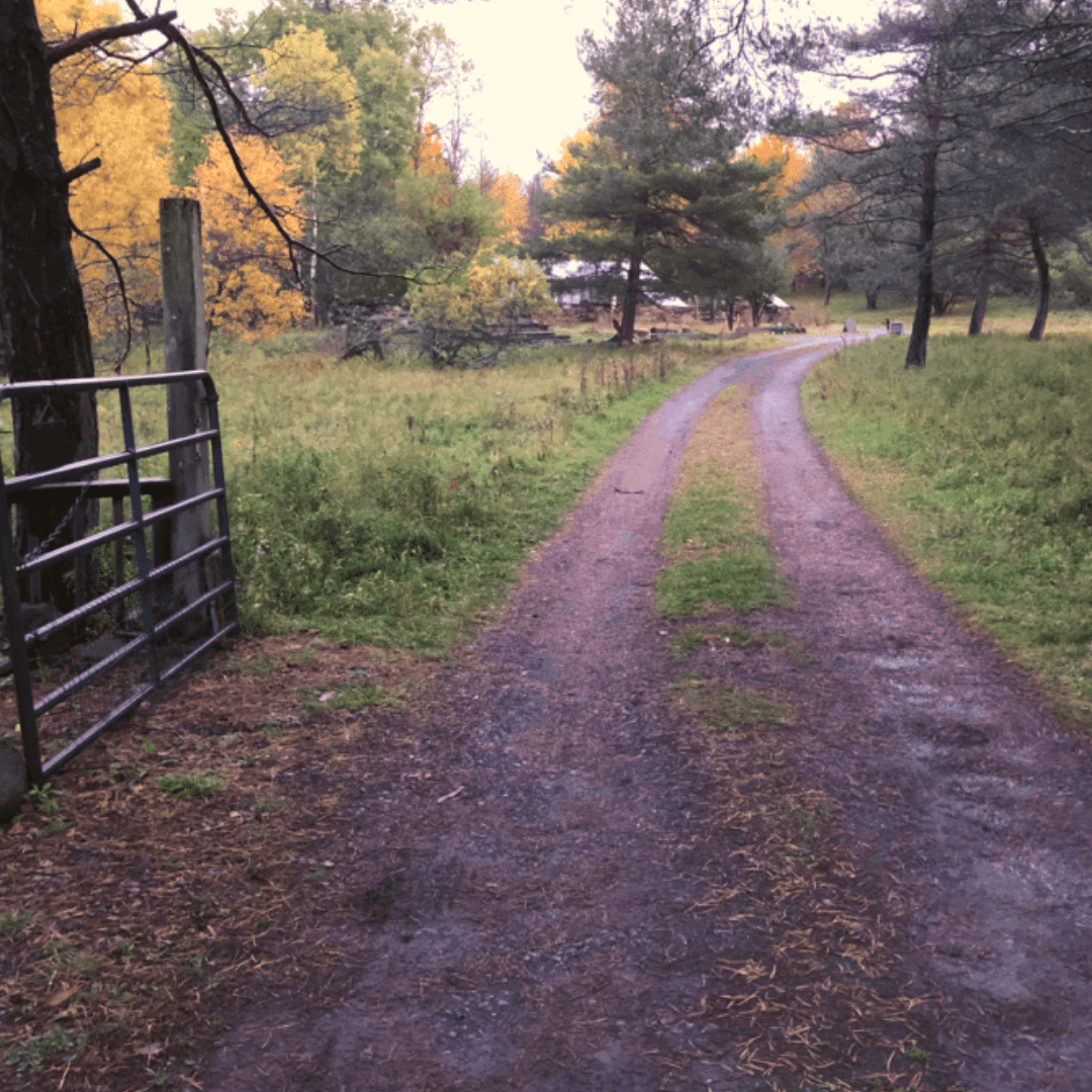 FAQ’s, Clippings and Mission - Mariaville Goat Farm